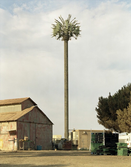 Camouflaged Cell Phone Towers | Amusing Planet